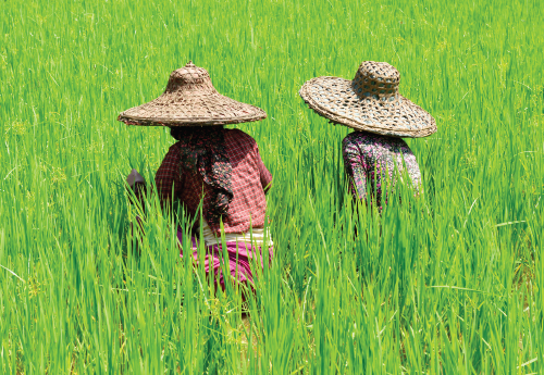 Home | U.S. Department of Labor