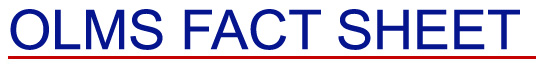 Form LM-30 Fact Sheet | U.S. Department of Labor