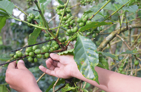 ILAB | U.S. Department of Labor