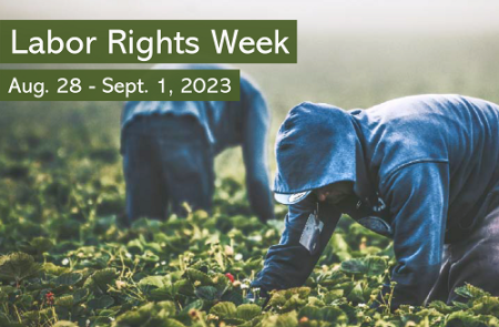 Home | U.S. Department of Labor